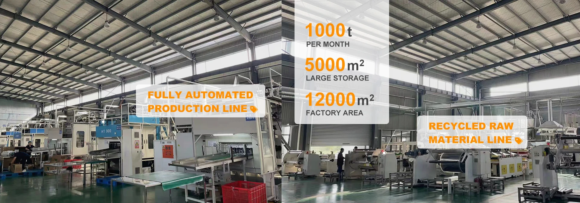 Lettuce Crisper Clear Plastic Custom Clamshell Packaging