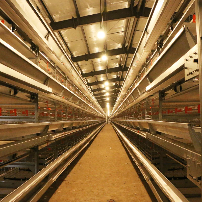 H-Type Steel Poultry Farm with Battery Cage Poultry Augar Egg Chicken ...