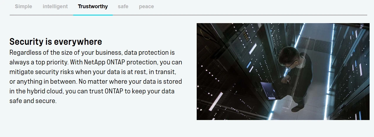 Netapp FAS2820 - Scalable Storage Server with 27.6 PB Capacity