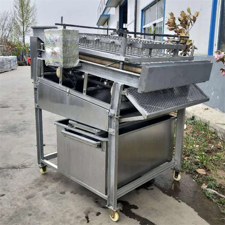 Prawn Sheller Shrimp Heading Machine Dried Shrimp Shelling Peeling ...