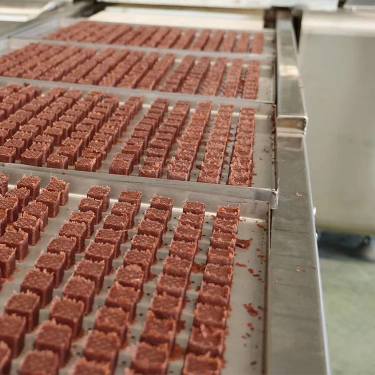Automatic Pet Treats Making Line - DARIN Extruder Process