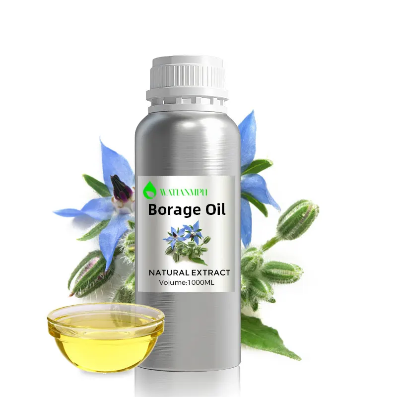 Wholesale Pure Borage Oil Cold Pressed High in GLA, for Skincare ...
