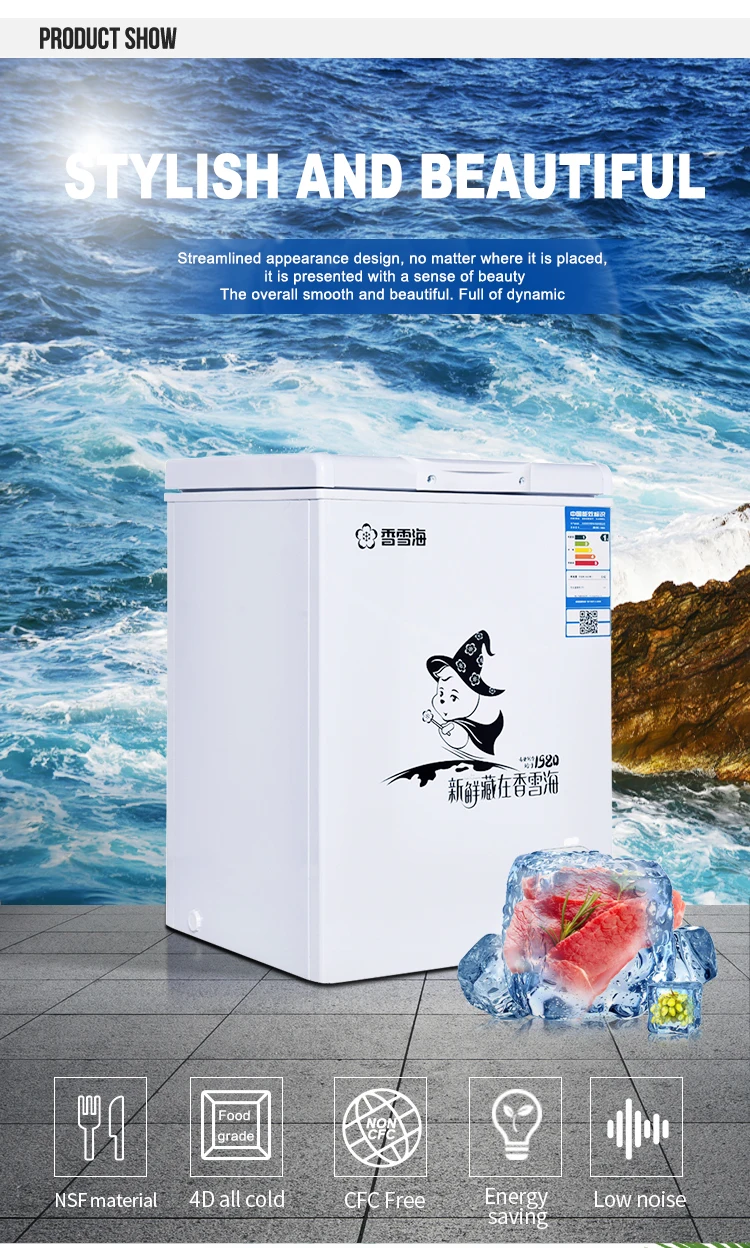 Snowsea BD-158 CE CB Single Door Fridges - Efficient & Versatile