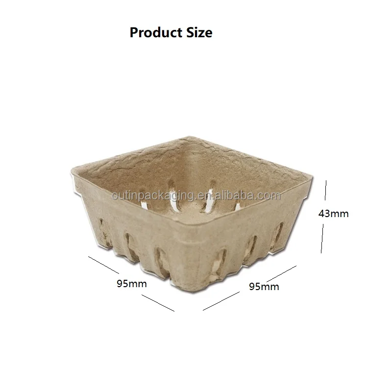 Eco-friendly Blueberry Packaging - Paper Pulp Boxes