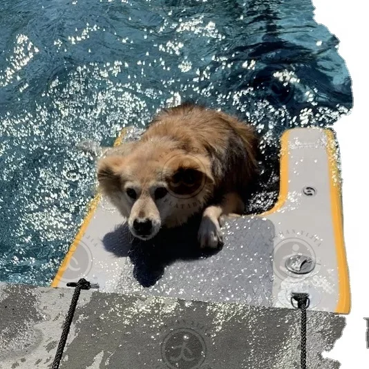 Inflatable Dog Float Dock For Pet Inflatable Dog Ramp For Sale - Buy ...