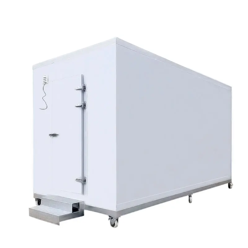 Factory Direct Selling Portable Mobile Container Freezing Cold Storage ...