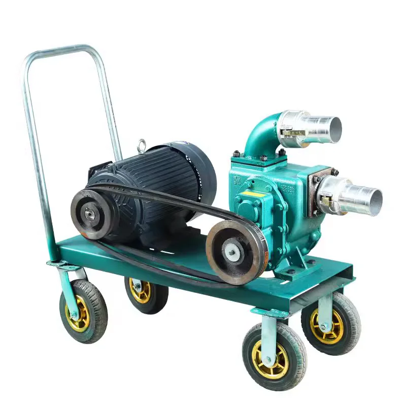 Alibaba.com: Brute Force 1HP Self-Priming Sewage Pump for Cow Manure ...