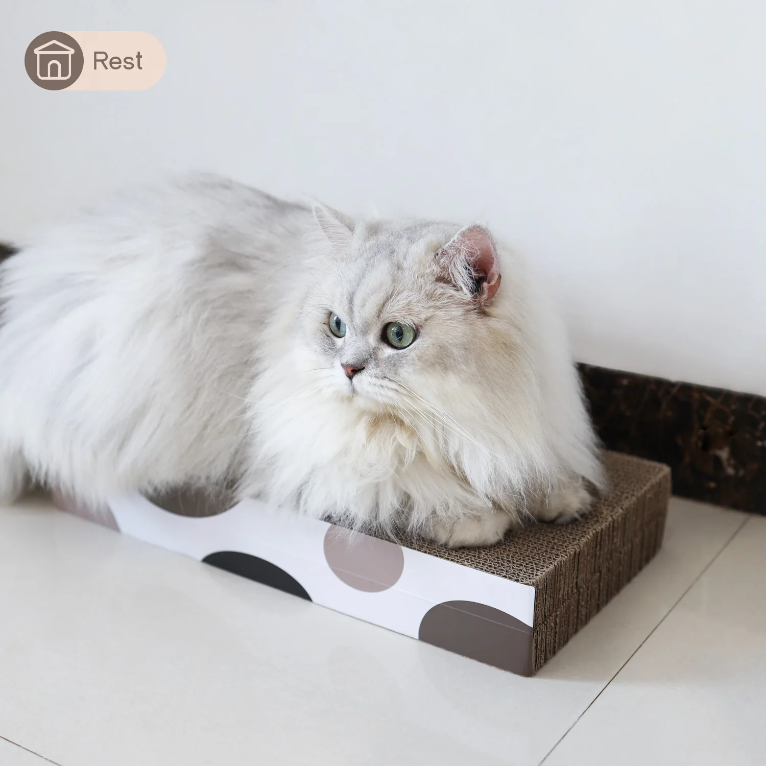 Foldable Reversible Corrugated Cat Scratching Board Sustainable Indoor ...