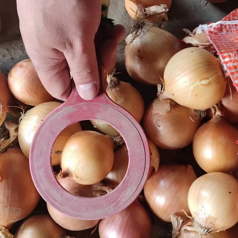 Fresh Yellow Onion 1kg Retail Packing with Size 4-6 cm| Alibaba.com