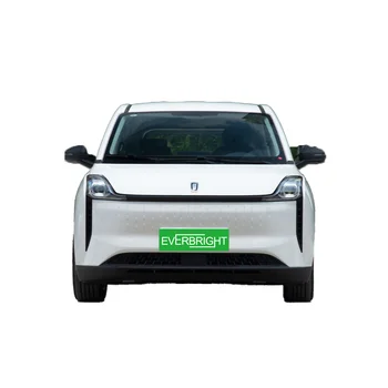 Shandong Everbright Foreign Trade Co., Ltd. - New Energy Vehicle ...