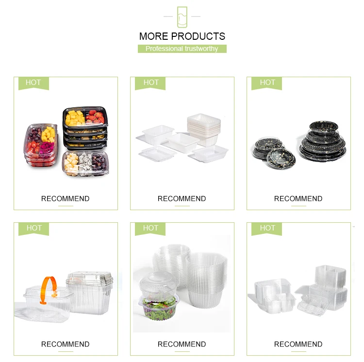 Transparent Rectangle Disposable Plastic Box Packaging Flap Fruit ...