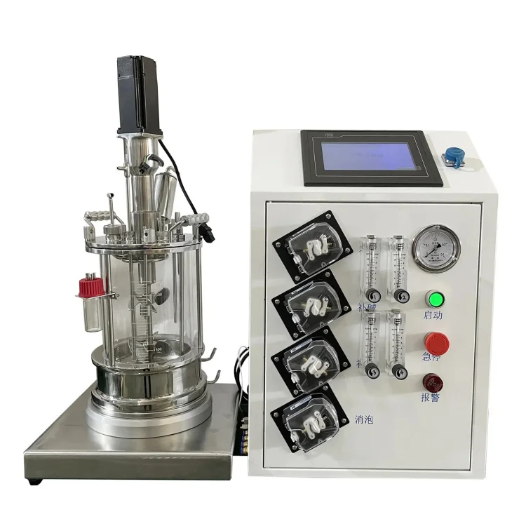 Laboratory Glass Benchtop Bioreactor Fermenter for Microbiology Cell ...