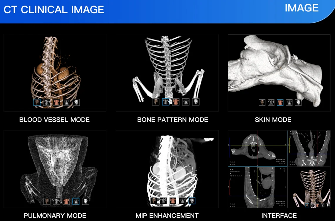 Veterinary CT Scan Machine | Cat & Dog Radiology RD Equipment | Pet CT ...
