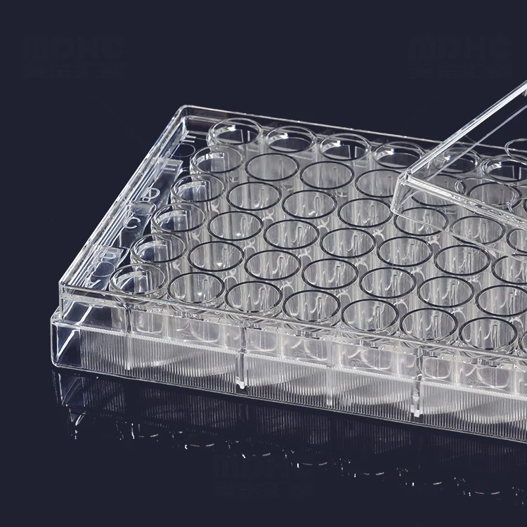 Medical Grade Virgin Polystyrene 24 Wells Cell Culture Plate - Buy Cell ...