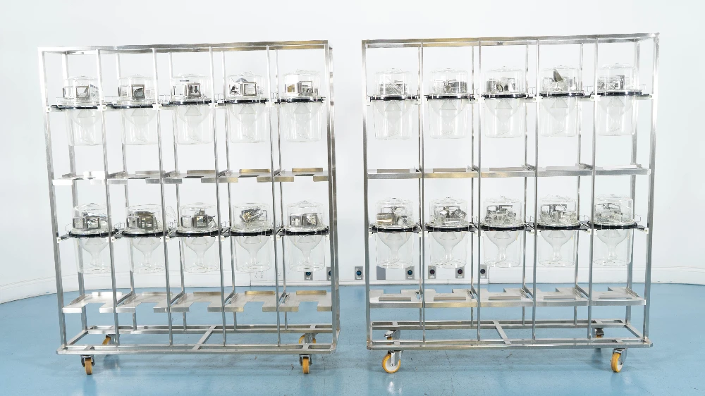 Stainless Steel Metabolism Cages Laboratory Metabolic Cage Mice - Buy ...
