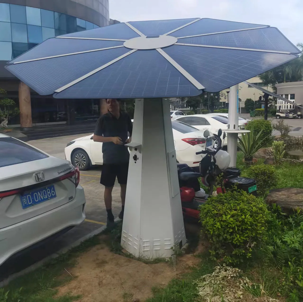 Scm Customize Solar Tree Shape Mini Solar Panel System Panneau Solaire ...