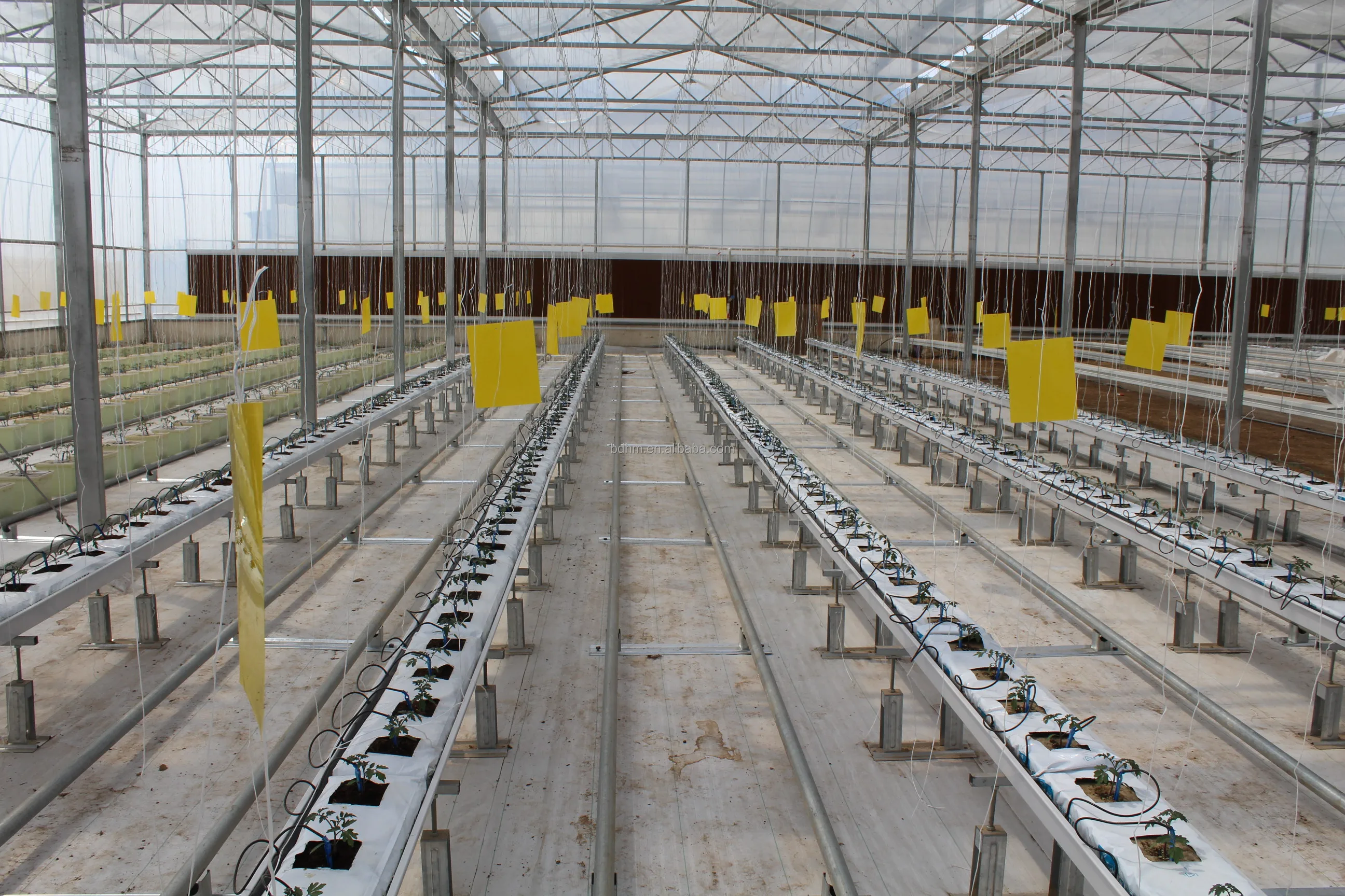 40hq Freezer Shipping Container Farm Hydroponic Green Gr Efficient ...