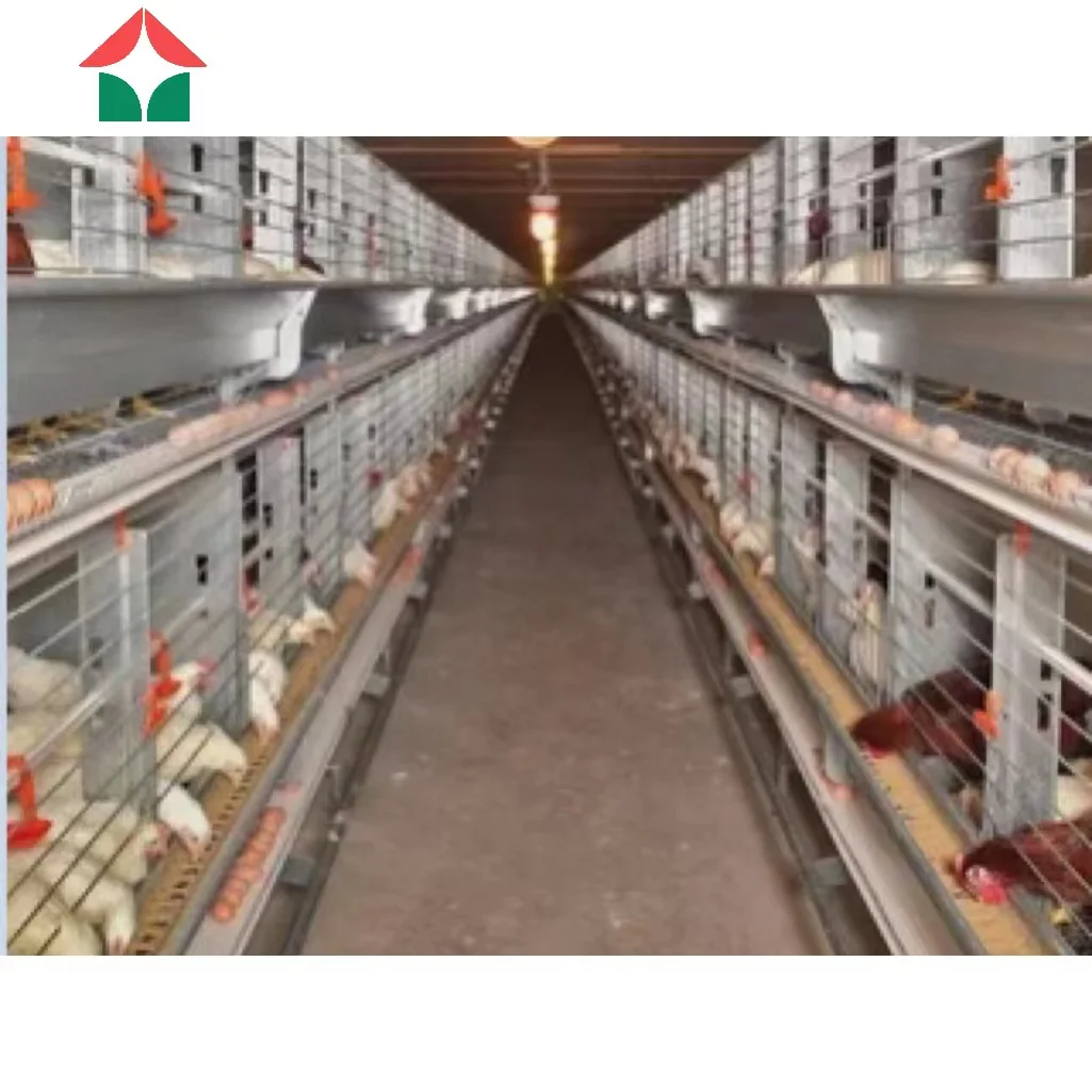 Low Cost China Made Commercial Chicken House Used - Buy Chicken Poultry ...