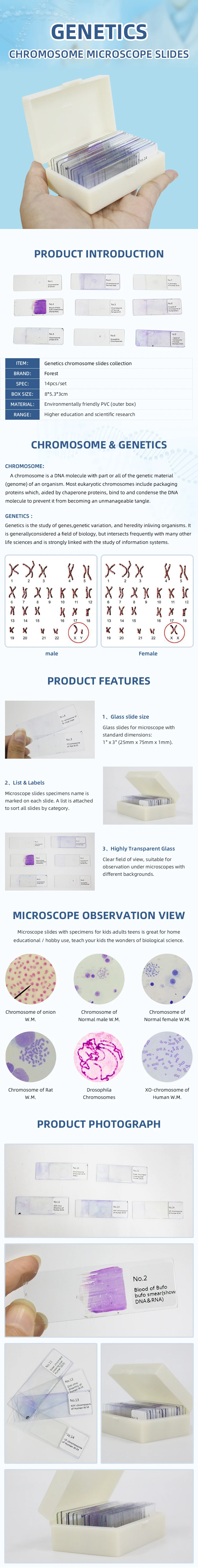 Human Chromosome Microscope Slides 14 Pieces Set Genetics Slides DNA ...