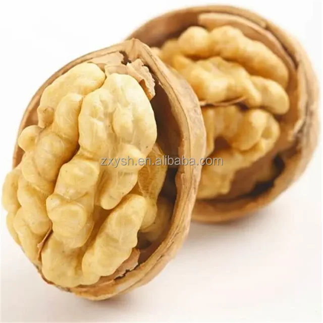 Factory Supply Walnut In Shell Walnuts Kernel Lower Price Good Quality ...