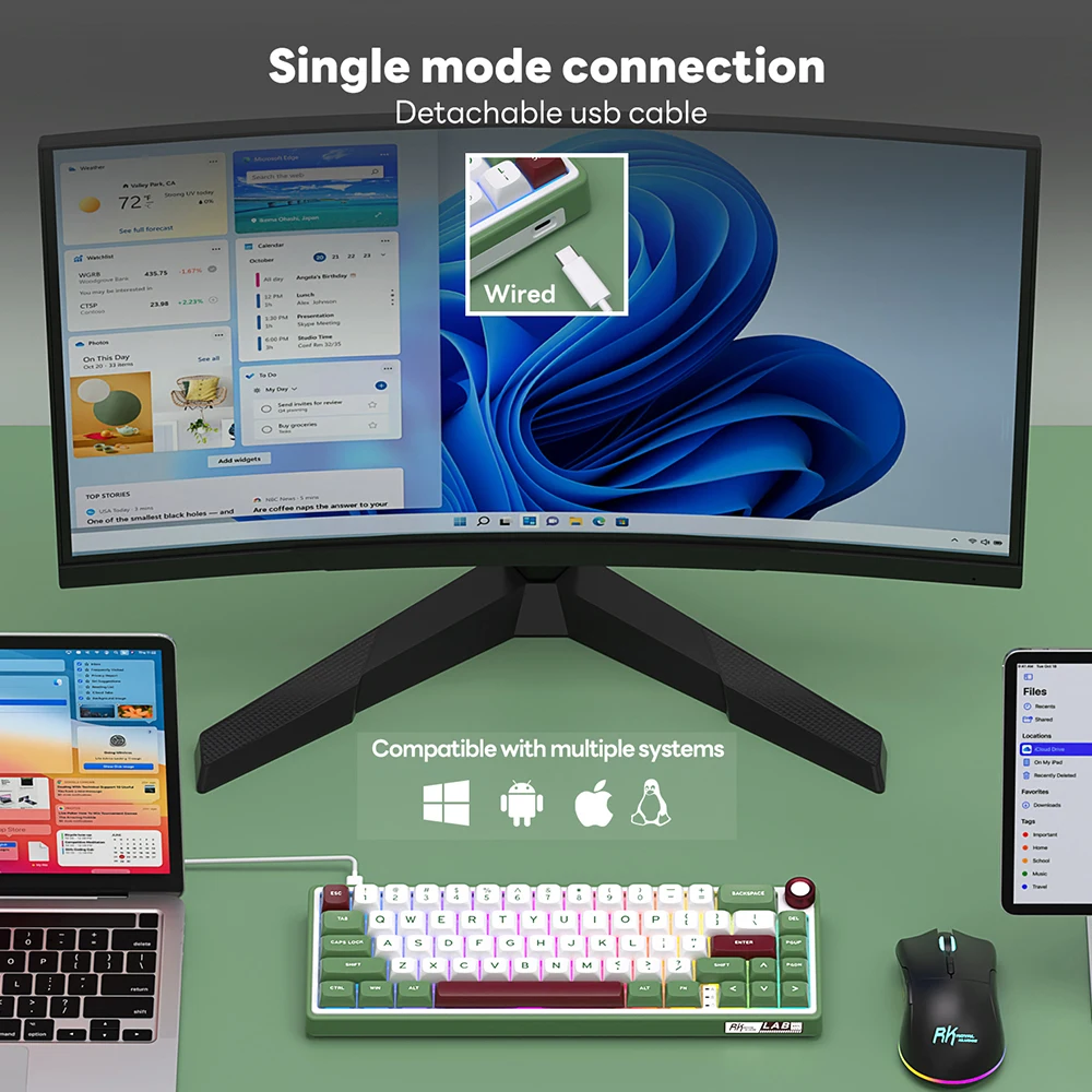 Royal Kludge RK R65 Mechanical Keyboard - 66 Keys RGB