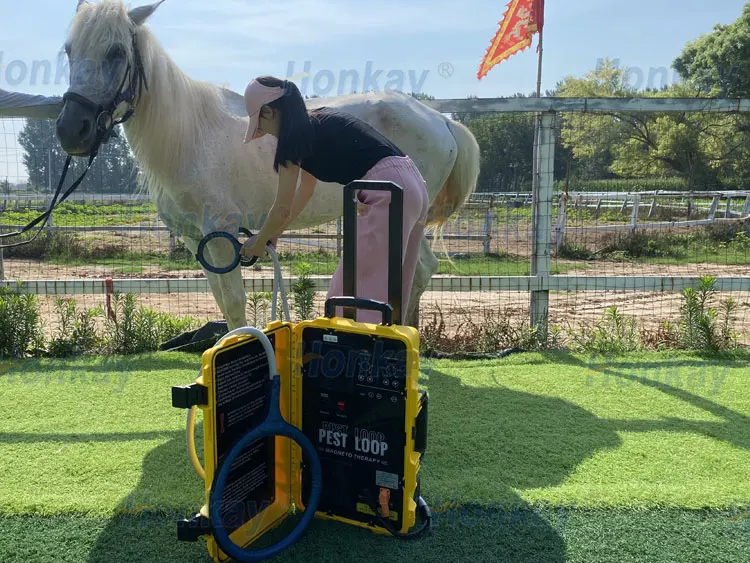 Horse Electromagnetic Pemf Horse Therapy Device Wellness Promotion Pemf ...