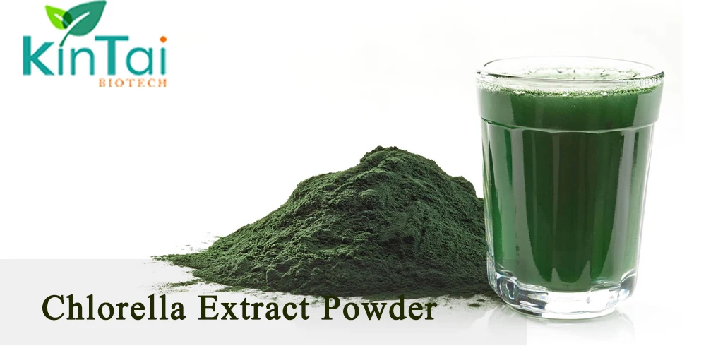 Wholesale Price Chlorella Extract Powder Super Green Powder Chlorella ...