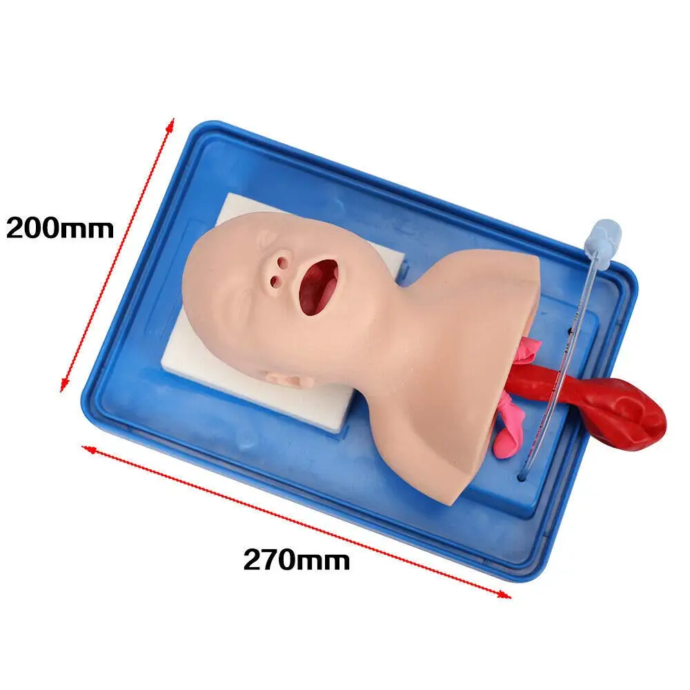 Simulator Model Advanced Infant Tracheal Intubation Lab