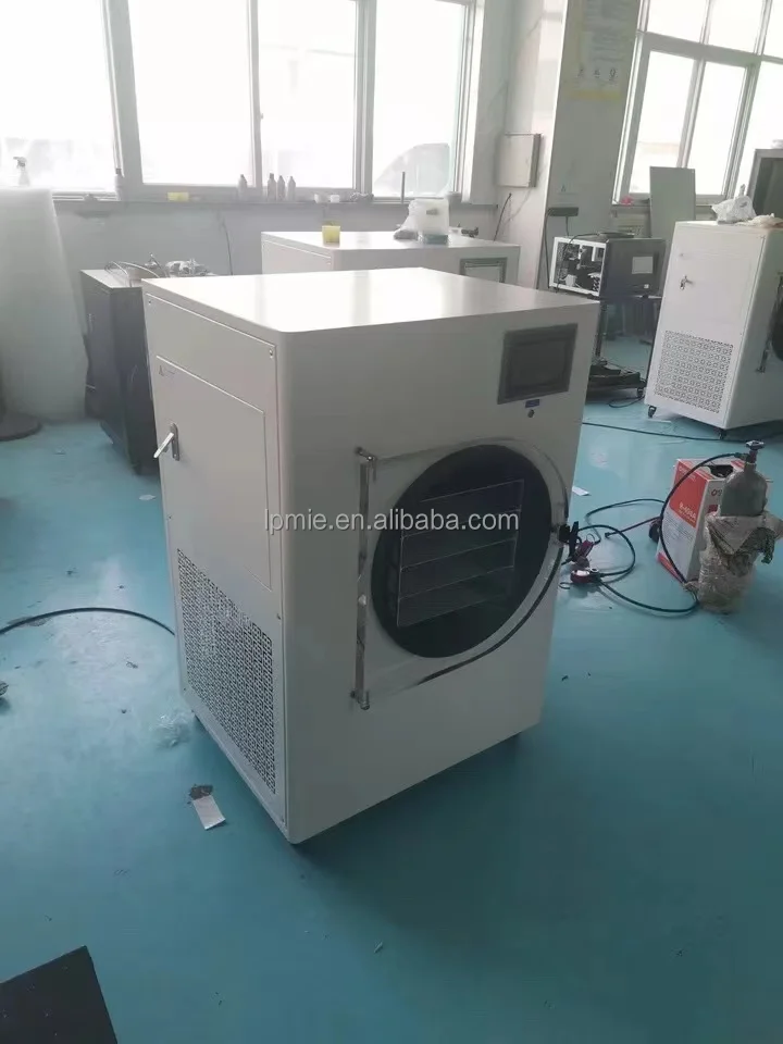 Dryer Home Lab Food Fruit Vegetable Candy Coffee Lyophilizer Vacuum Low ...