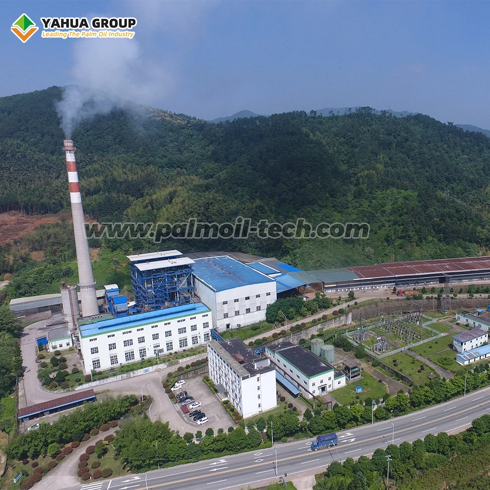 Palm - Based Biomass Power: Generating Electricity Efficiently