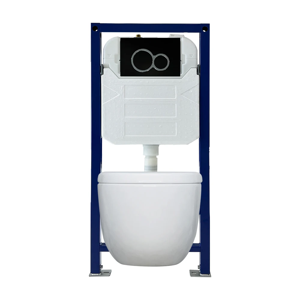 Modern Dual-Flush Concealed Cistern with Frames for Wall-Hung Toilets ...