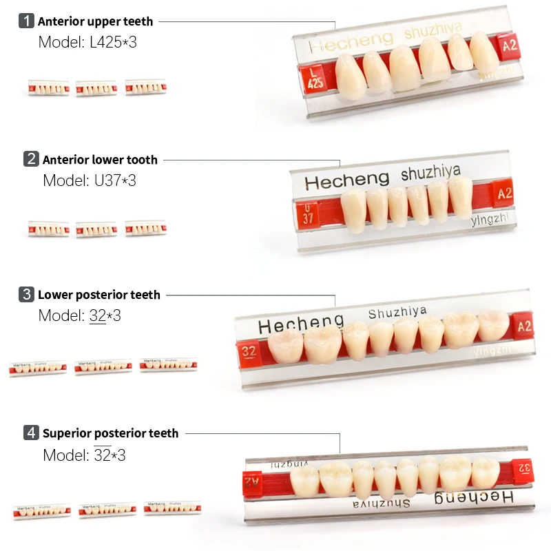 A2 Color Dental Acrylic Denture Resin - False Teeth Set