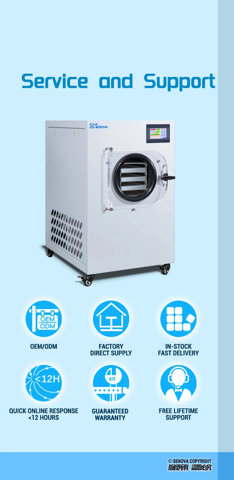 Mini Freeze Dryer - Efficient Food Preservation Solutions