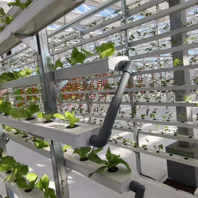 Microgreen Grow Nft Hydtoponic Nft Hydroponic Tubes - Buy Quality ...