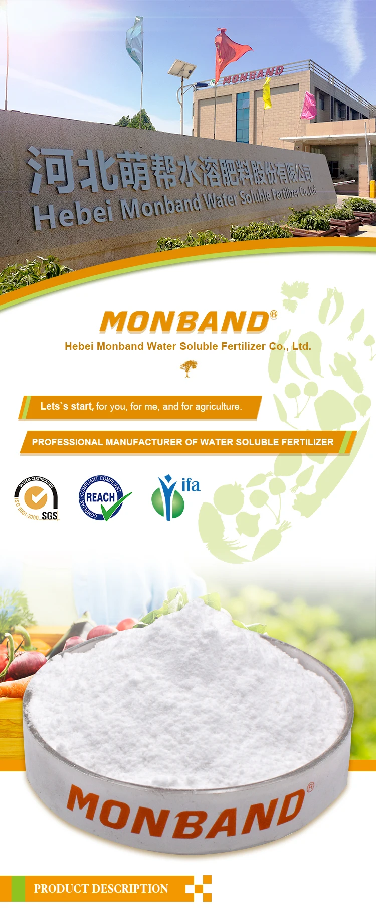 Acid KH2PO4 99% MKP Fertilizer - Potassium Dihydrogen Phosphate