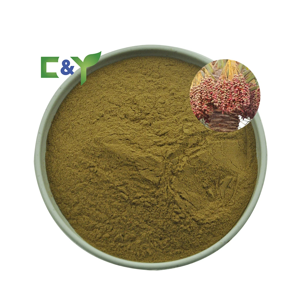 Iso Factory Fast Delivery Date Palm Extract Powder Date Palm Seed ...