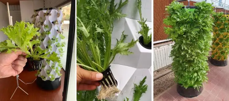 Indoor Outdoor Hydroponic Pineapple Tower Garden Agricultural Soilless ...