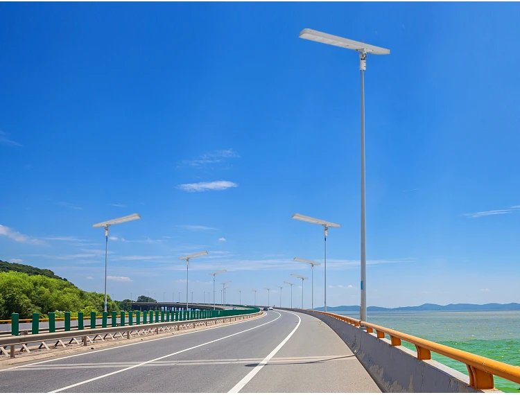 High Quality Endurance Solar LED Street Lights - 100w