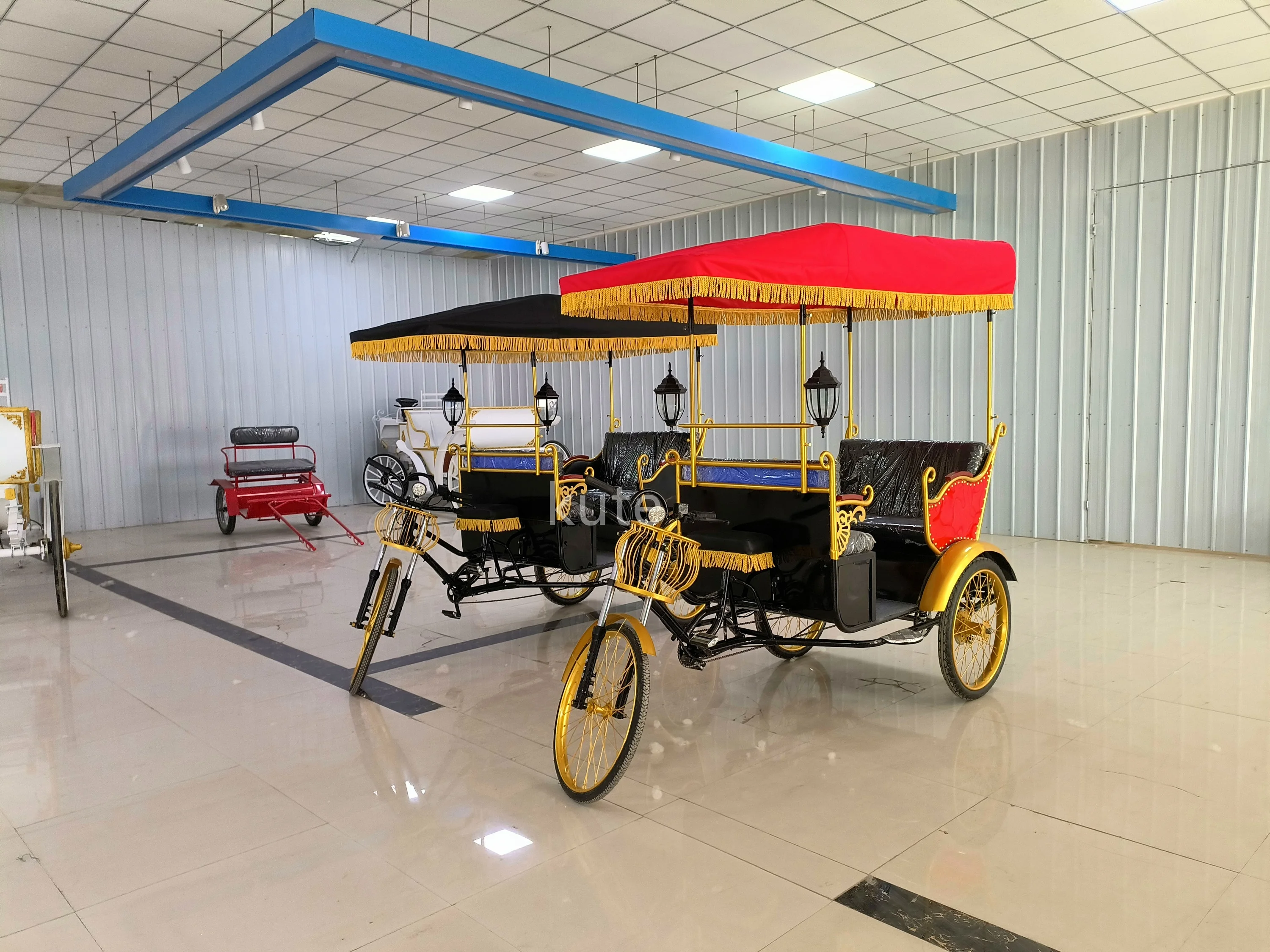 Open BodyType 800W Motor Rickshaw Electric Three Wheels Pedicab with ...