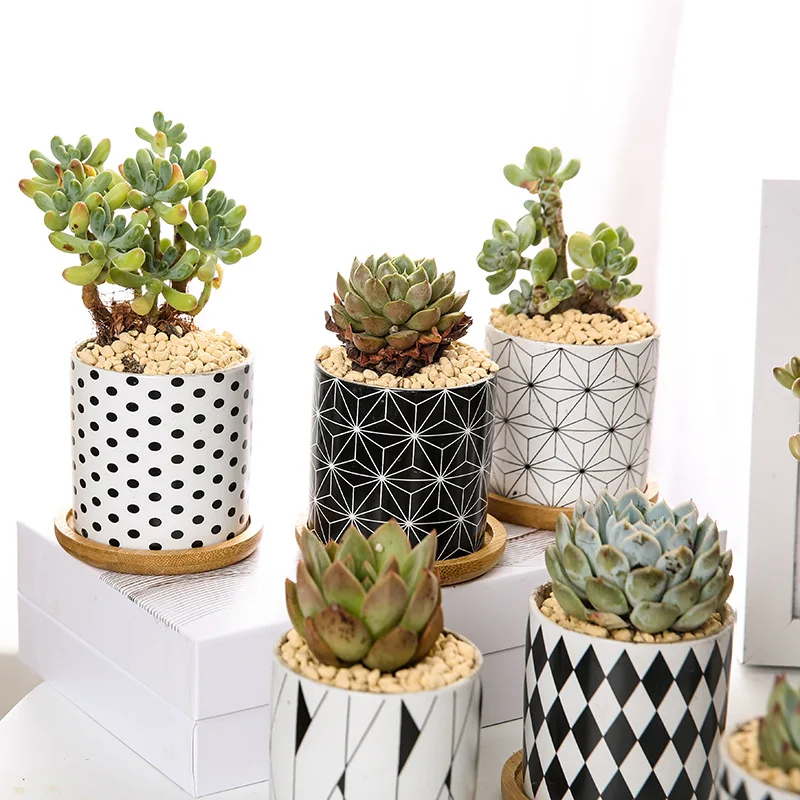 Nordic Geometric Design Ceramic Flower Pot - Black & White