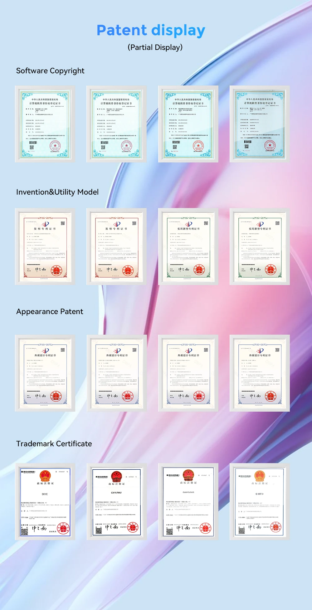Raefly VT240 - Versatile RC Drone for Surveying & Inspection
