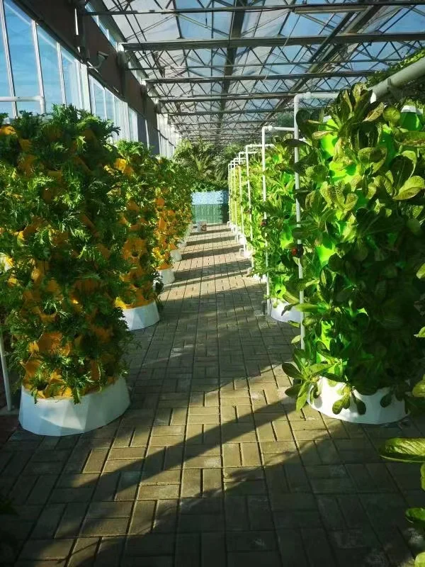 Indoor Outdoor Hydroponic Pineapple Tower Garden Agricultural Soilless ...