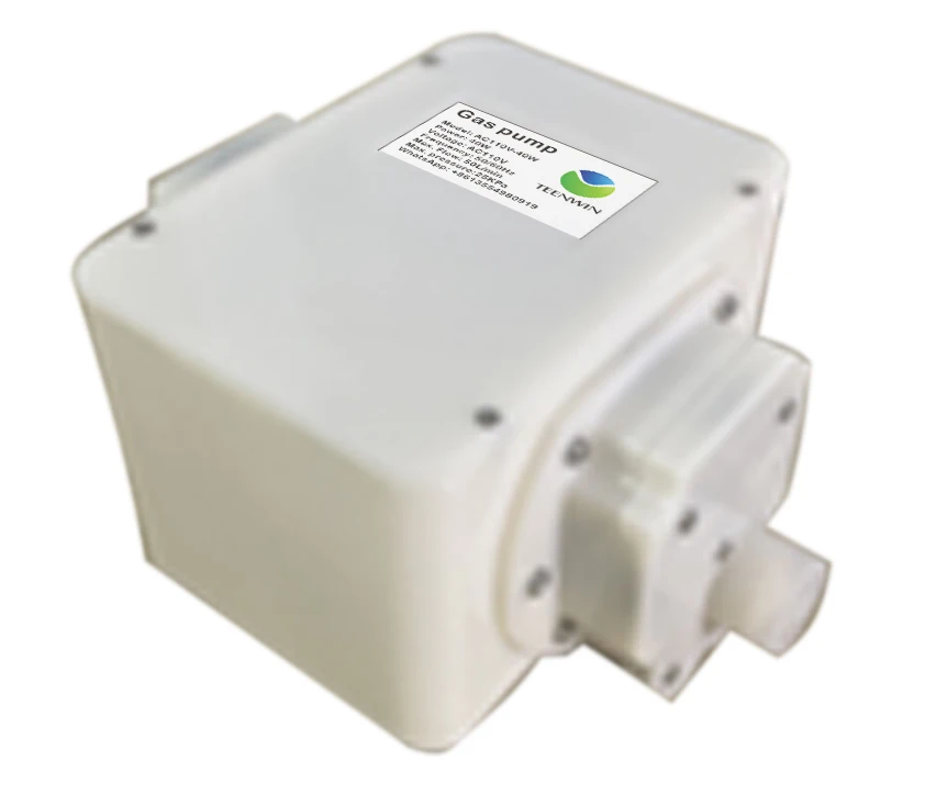 Biogas Nature Gas Booster Pump for Home Use - TEENWIN
