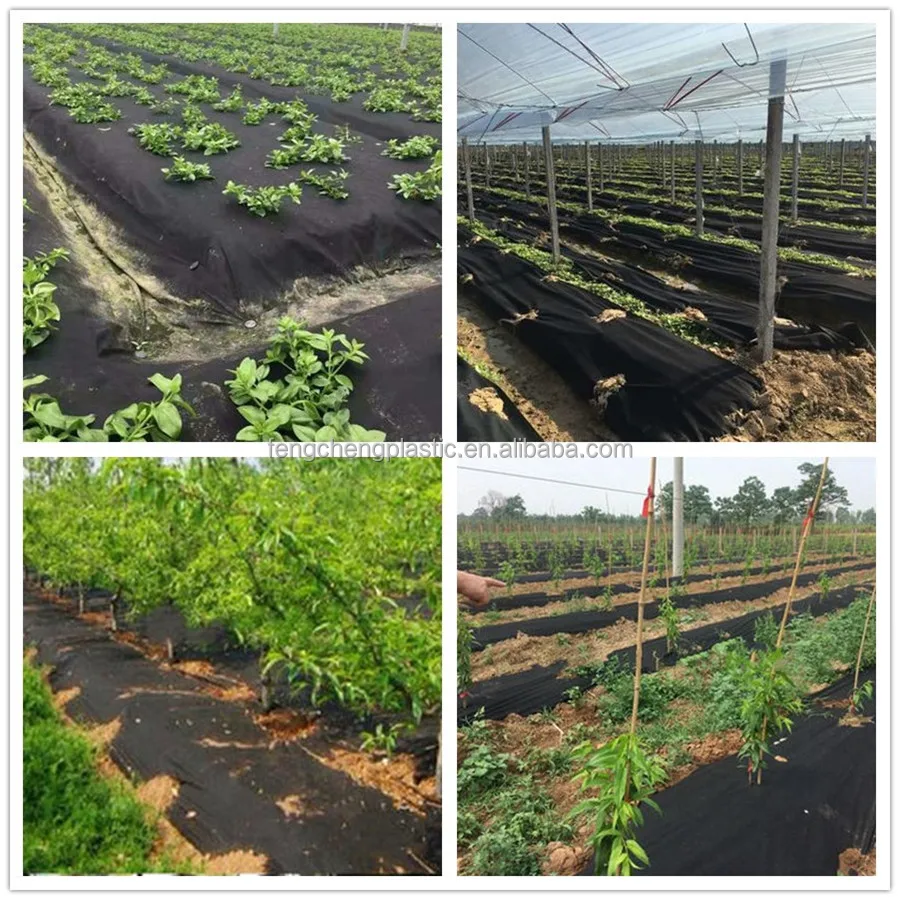 Breathable PP Nonwoven Fabric Agricultural Fleece Cover for Weed ...