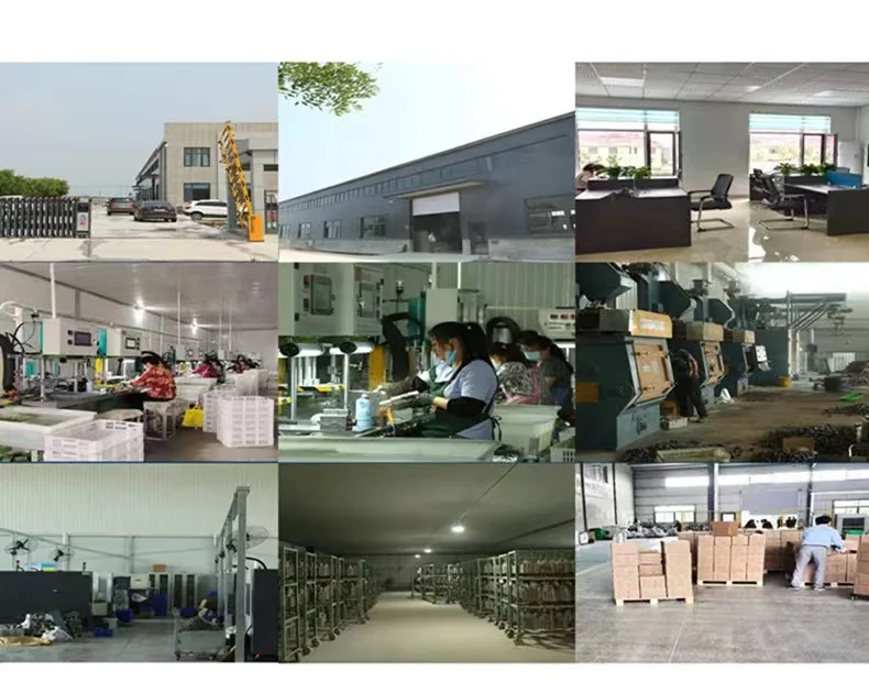 Boat Clam Cleat Rope For Rope Cleat 316 Stainless Steel Marine ...