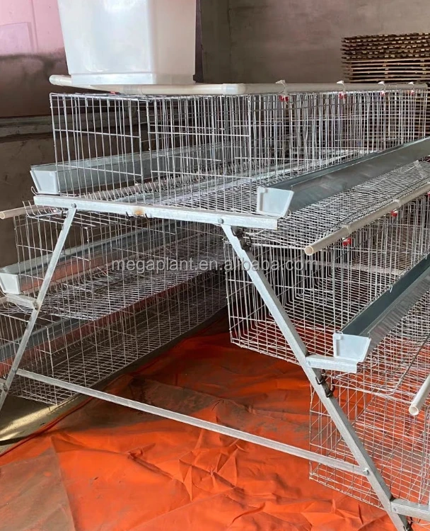 Automatic Poultry Farming Modern Shed System a Type Egg Chicken Layer ...