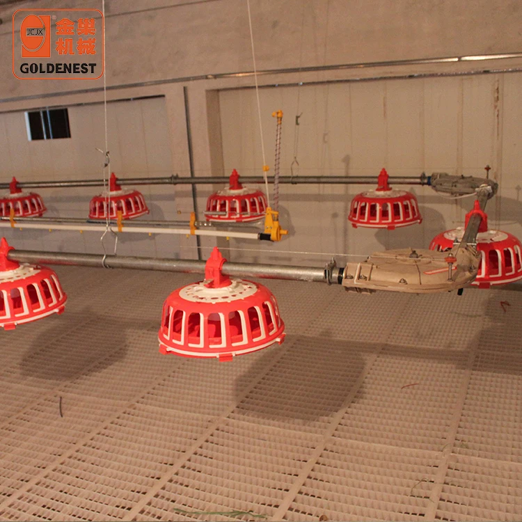Poultry Automatic Feeding System - Efficient & Reliable