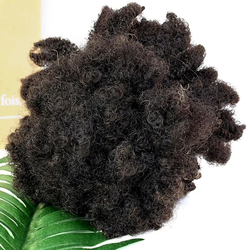 Natural Black Afro Kinky Bulk Human Hair - 20 Inch, Remy Hair & OEM