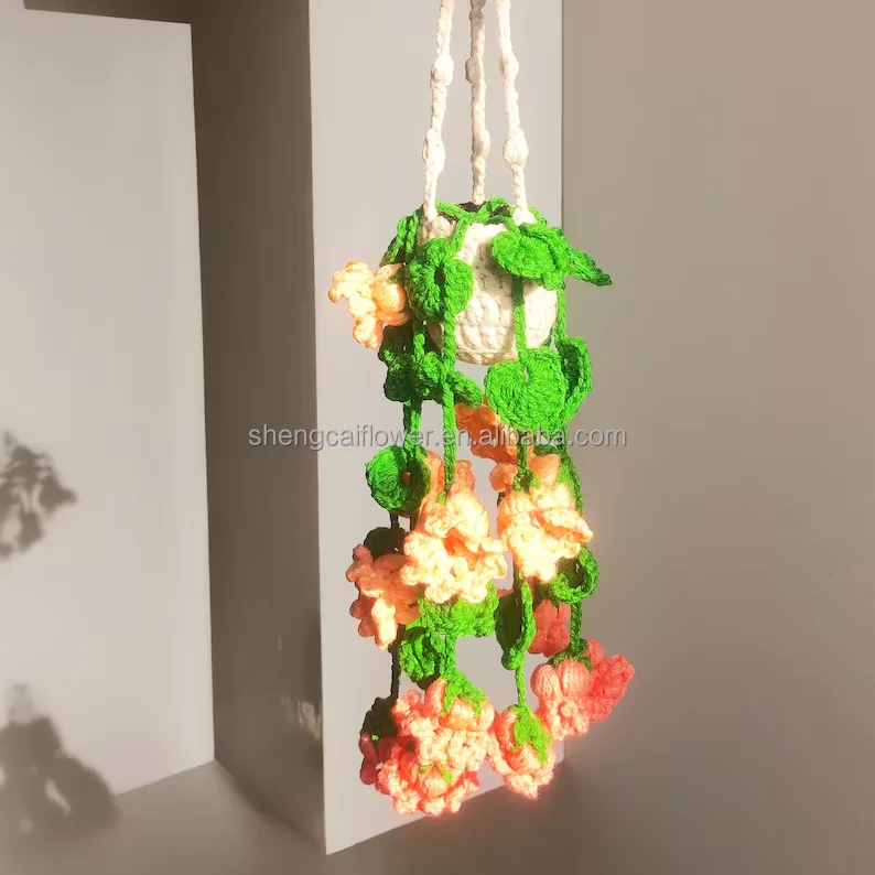 Crochet String of Pearls Plants Hanging Knitted Plant Car Diffuser Hang ...