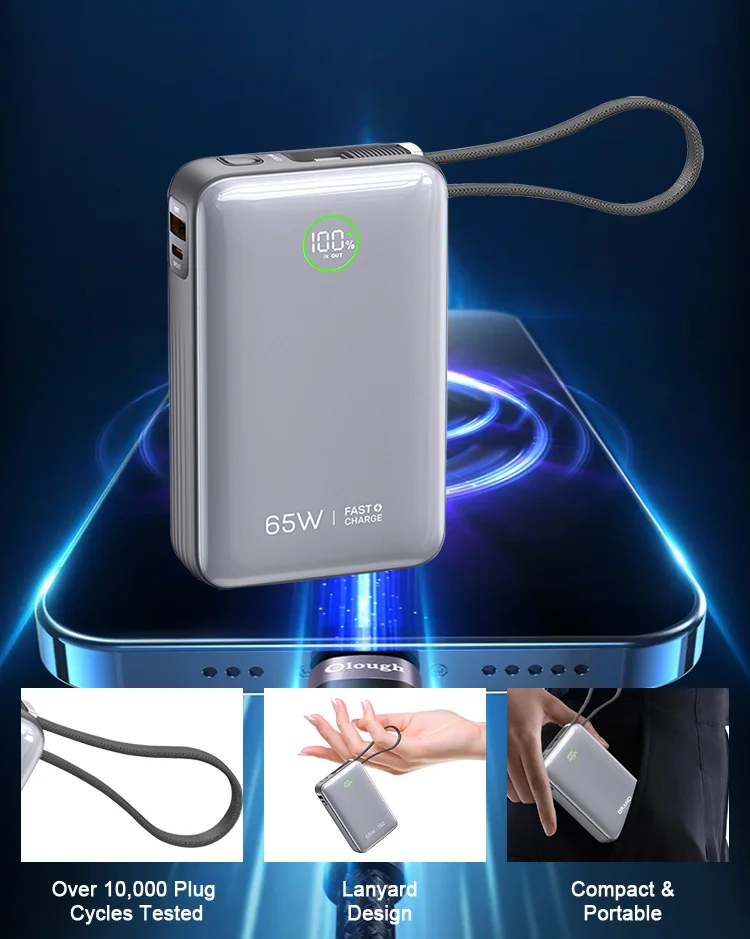 STW Built-in Two-Way Fast Charging Usb Type-C Cable PD Powerbank Custom ...